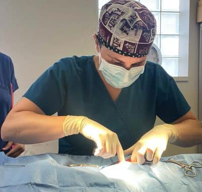 Advanced Pet Surgery – Houston, TX | Meyerland Animal Clinic